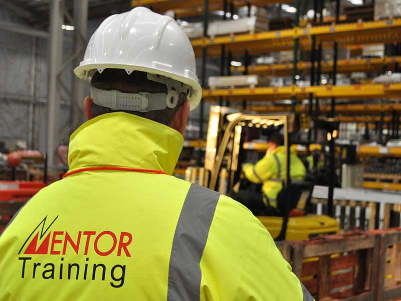 Meet the Mentor Training Team | Mentor Training